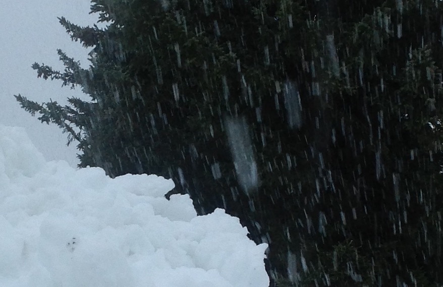 Furano Now (27th November 2015) | Furano daily snow and weather ...