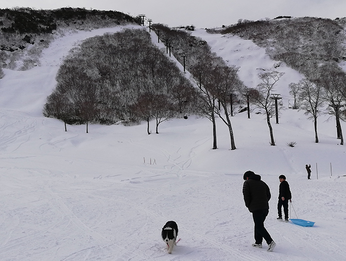 Minakami Now (08th December 2019) | Minakami daily snow and weather ...